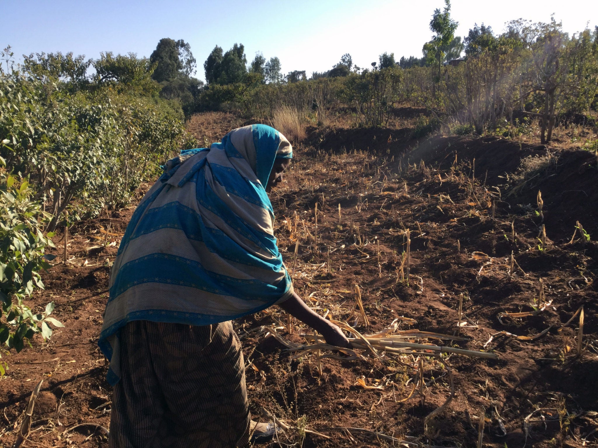 Six Years of Drought Have Left Millions in Ethiopia Without Food - CARE