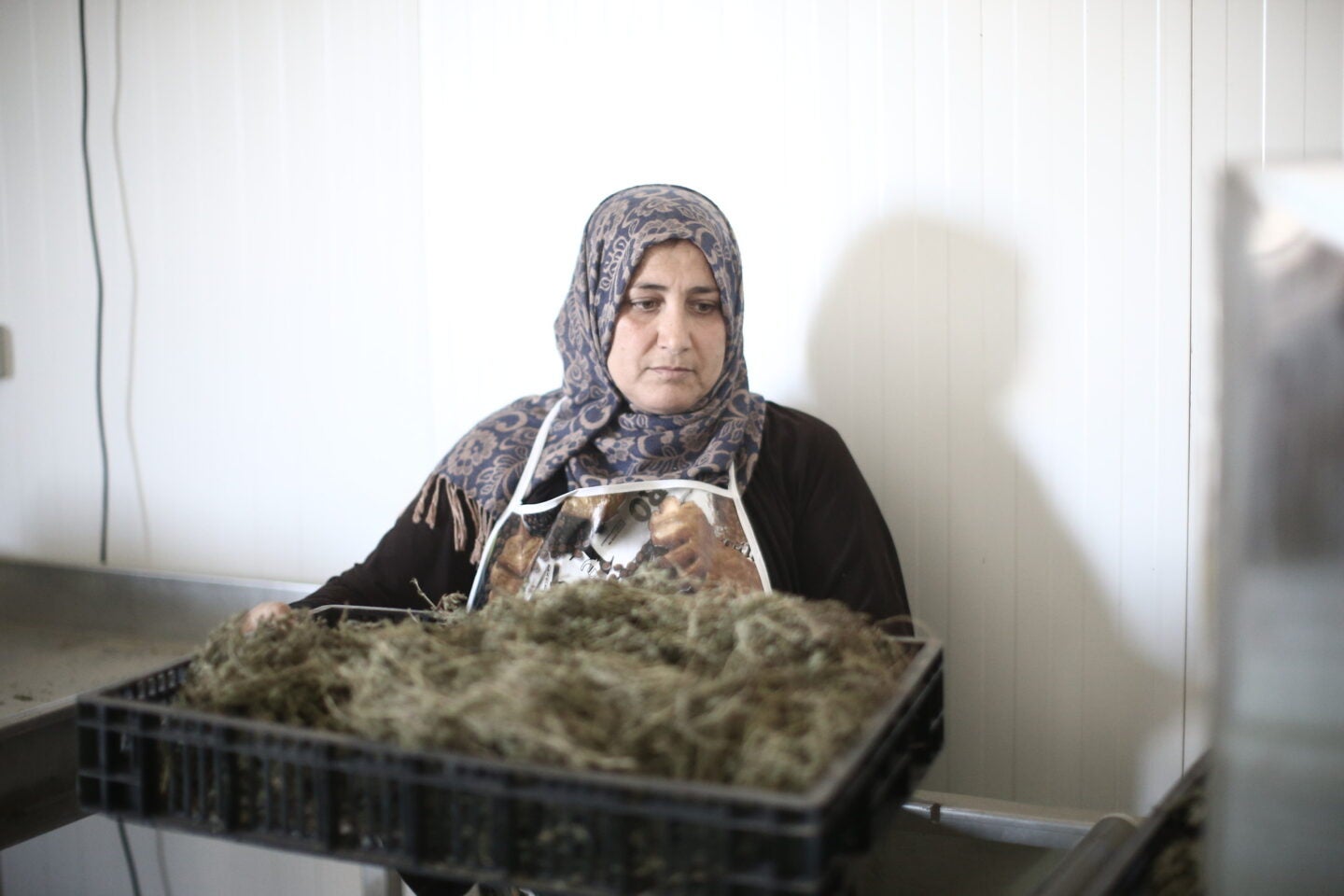 Women Lead Through the Hunger Pandemic - CARE