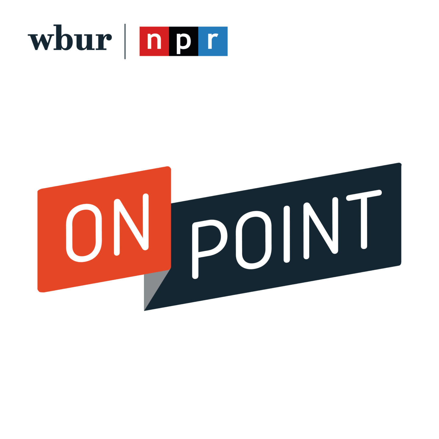 WBUR/NPR: CARE's Saeed Rafiq Al-Madhoun and Hiba Tibi discuss the ...