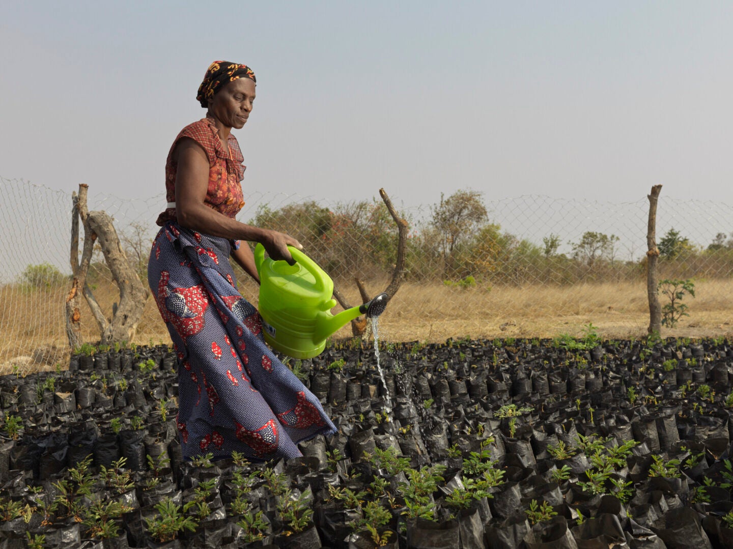 The most overlooked media stories of 2023 - CARE