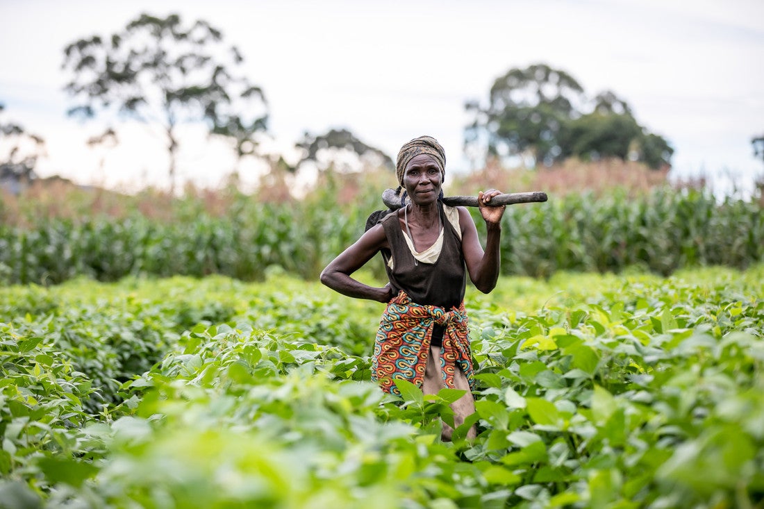 Transforming Urban-Rural Food Systems (TURFS) Consortium - CARE