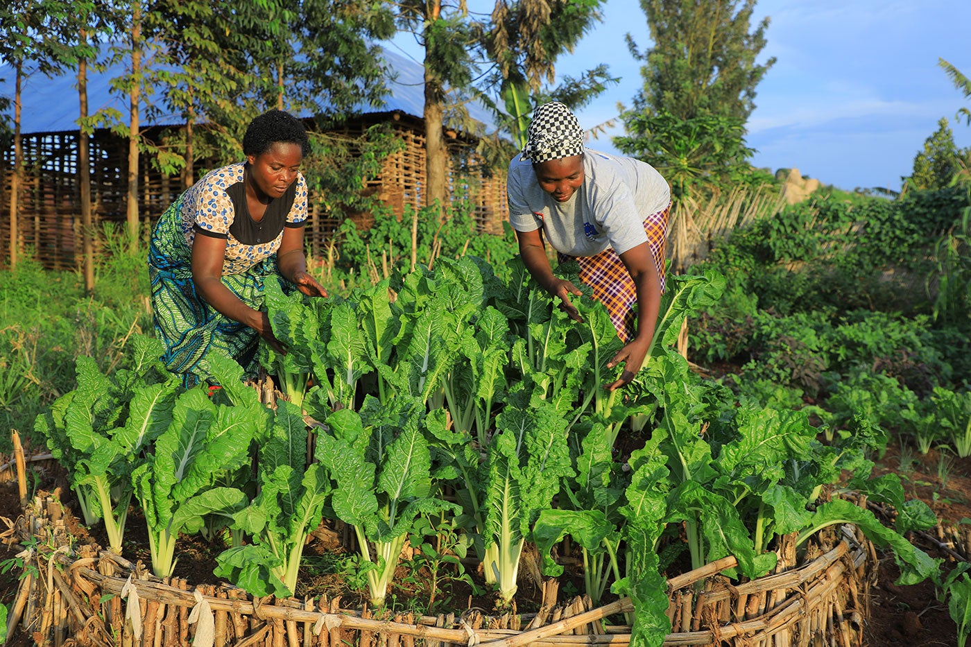 Fill the Nutrition Gap Program (FNGAP) - CARE