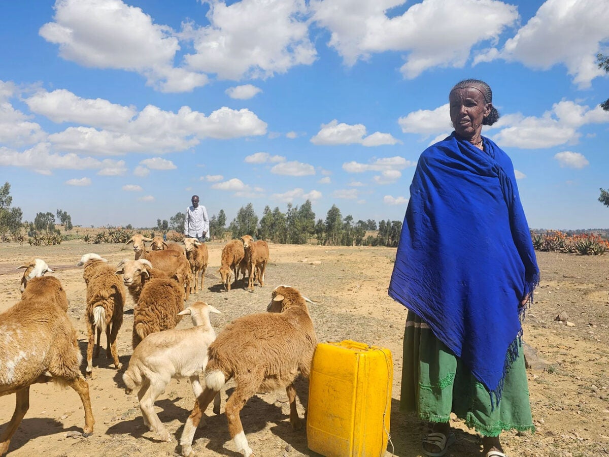 Ethiopian struggle for water in Tigray
