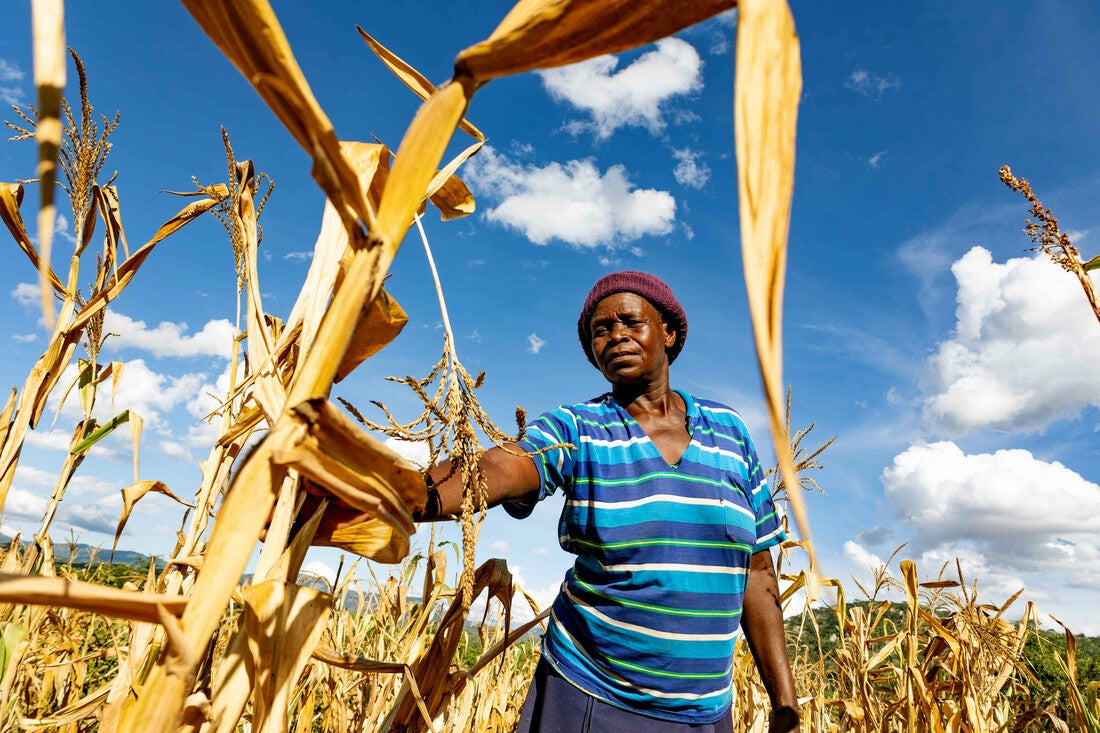 Zimbabwe Food Insecurity Crisis Due to Unprecedented Drought - CARE