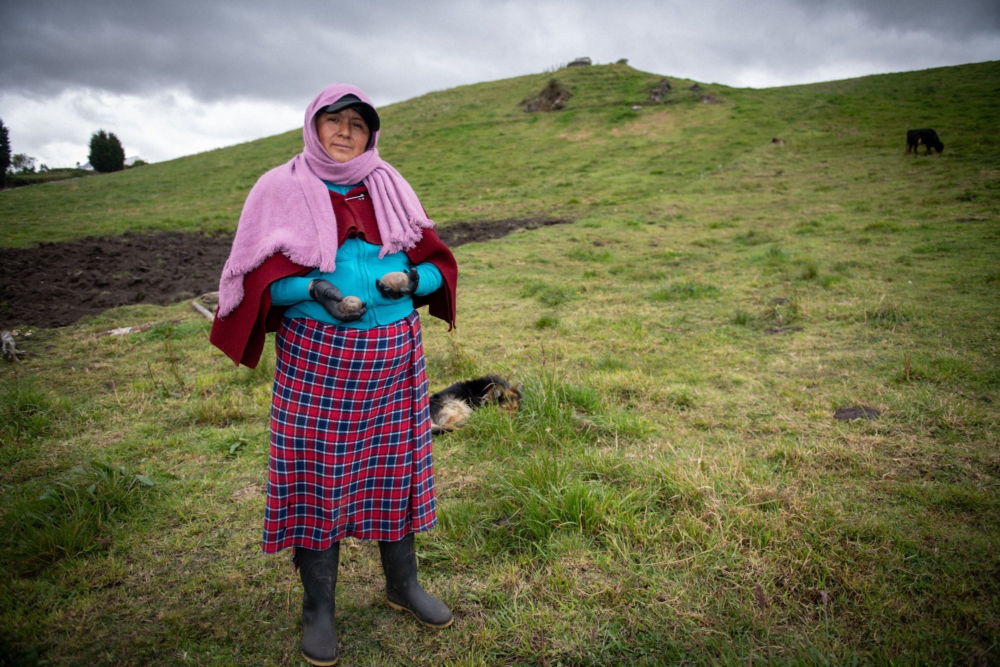 Heart of the Andes: Indigenous women revive the native shungo potato - CARE