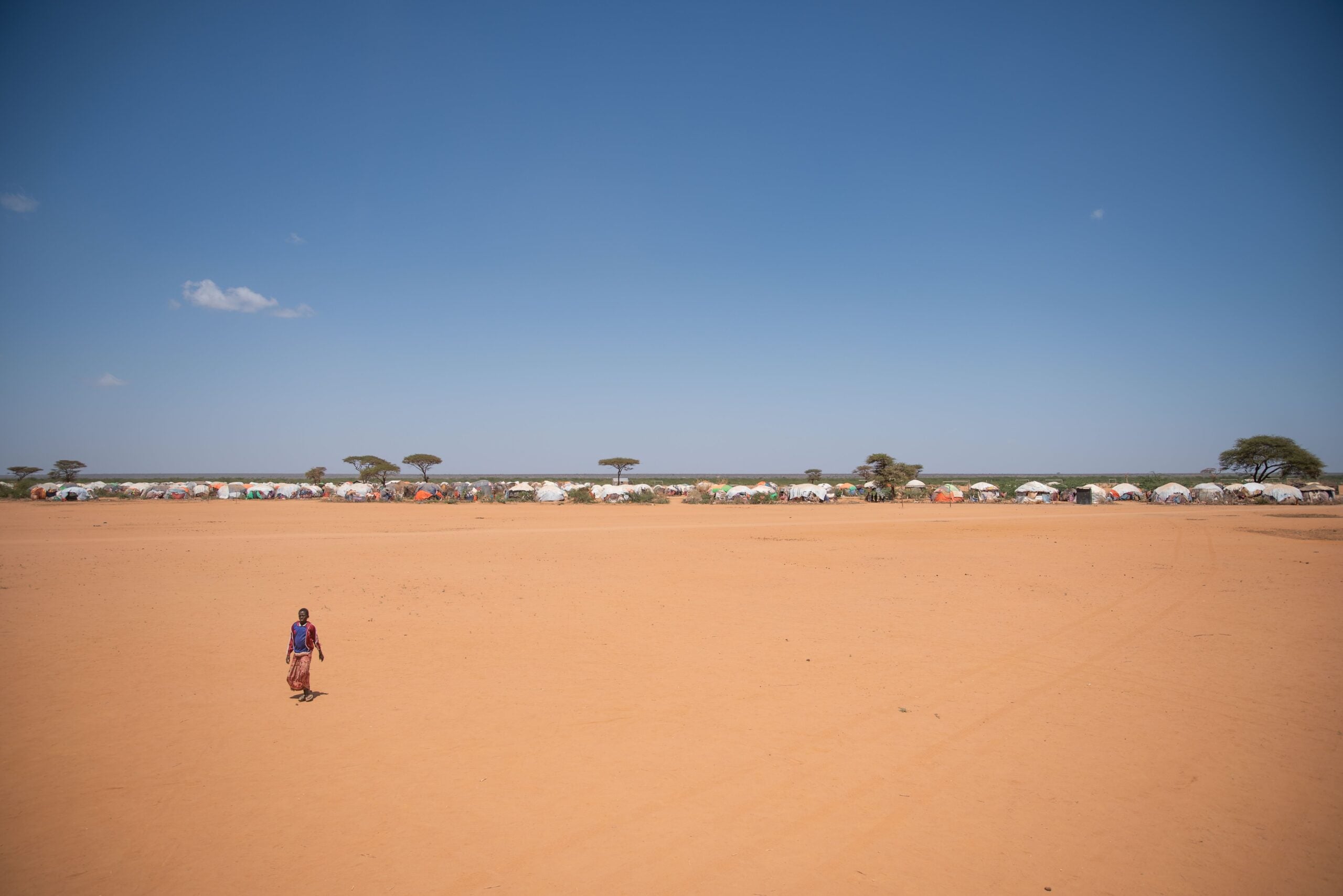 As drought tightens its grip on northern Kenya, a new IPC report ...